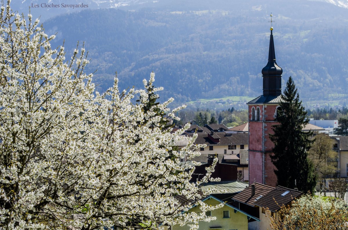 Marignier – Eglise Saint-Maurice – Les Cloches Savoyardes